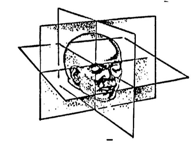 The Nerve House Conspiracy | Nerve House