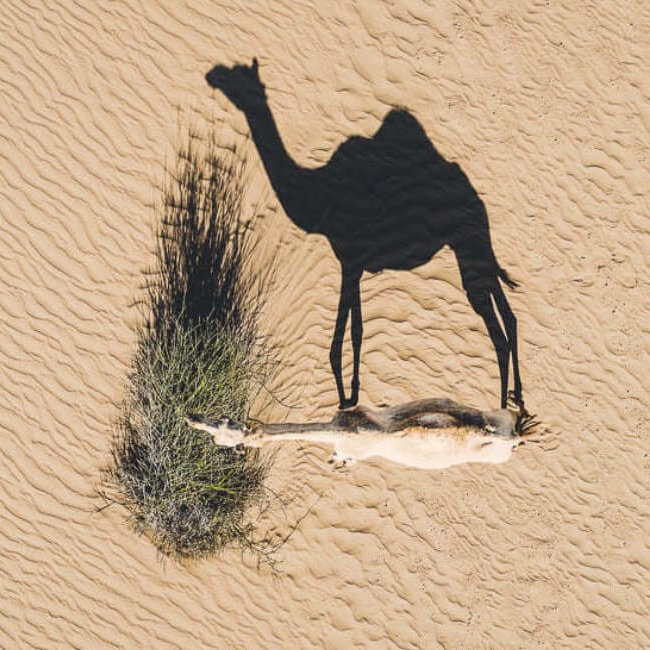 magandara's collection | Bandcamp