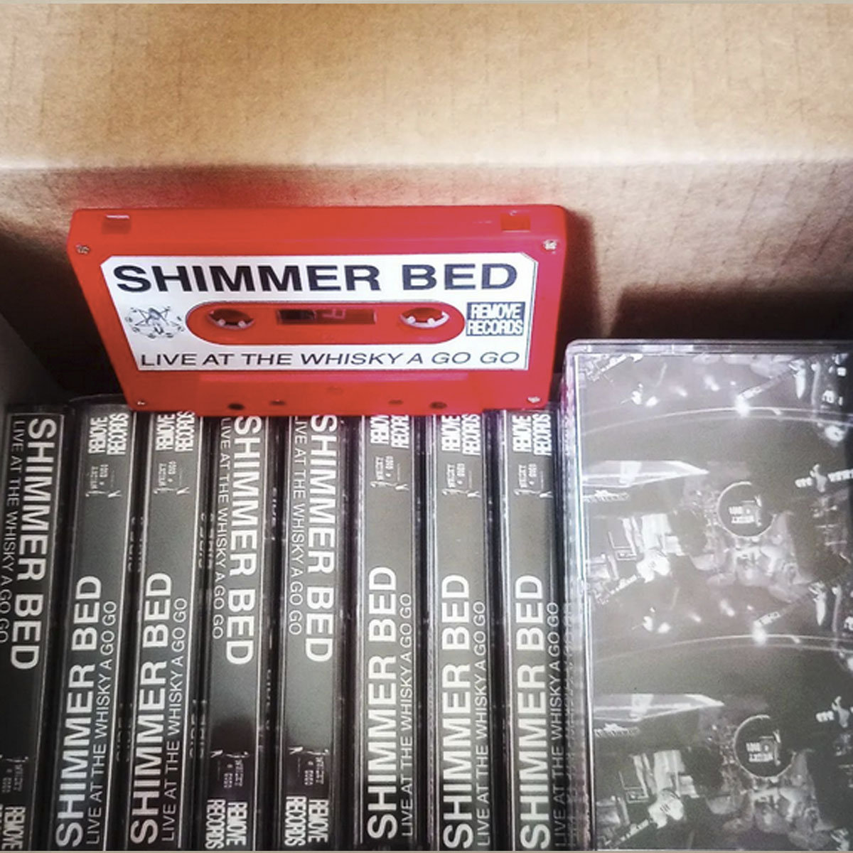 Live At The Whisky A GO-GO | shimmer bed