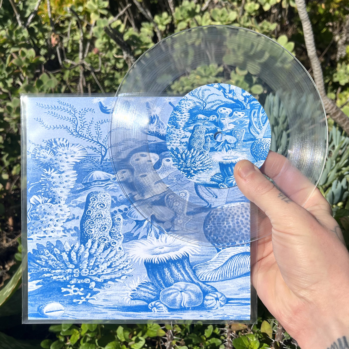 [JG704] "Ancient Coral" | X.Y.R. / Dravier | JUNGLE GYM RECORDS