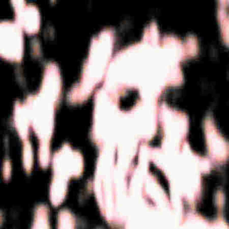 Dead Web Blue | Ilad Rodavlas