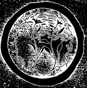 Merch | Foul Depths Releases