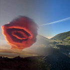 Signals | The Echelon Effect