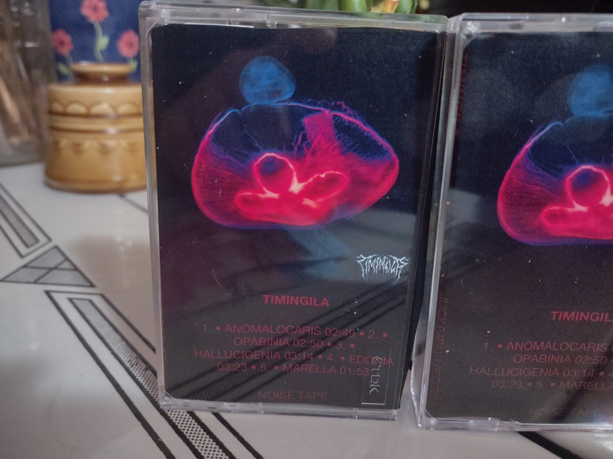 Timingila | Timingila | Juicy Papaya Records