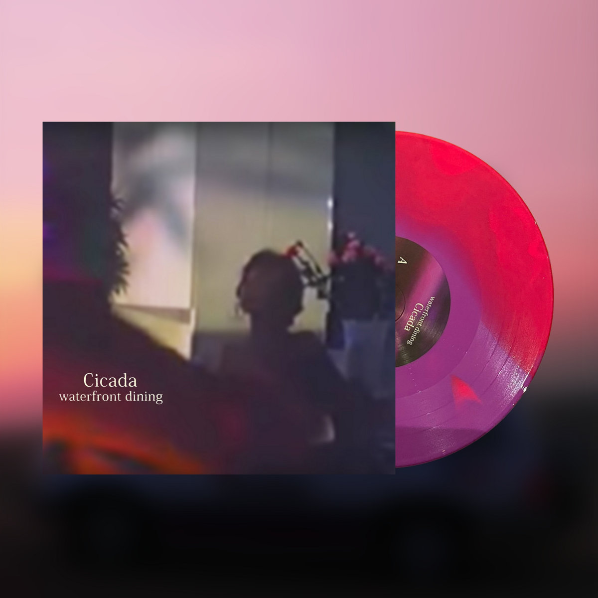 Cicada | waterfront dining | My Pet Flamingo