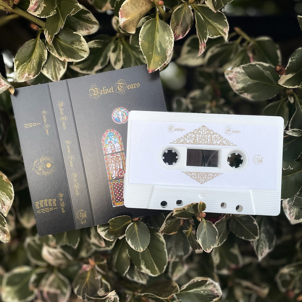 Cantus Hiems / Old World | Velvet Tears | Fiadh Productions