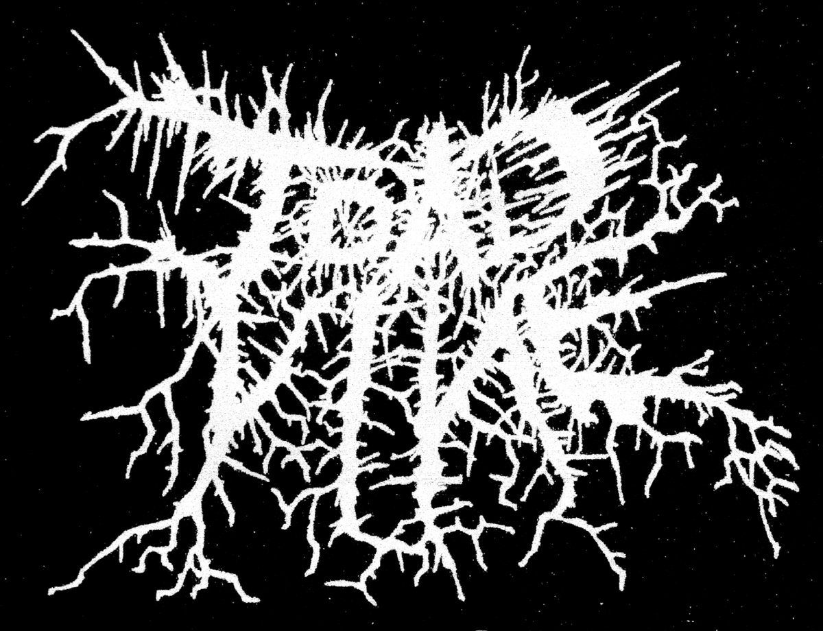 Neon and Chrome | Toadvine