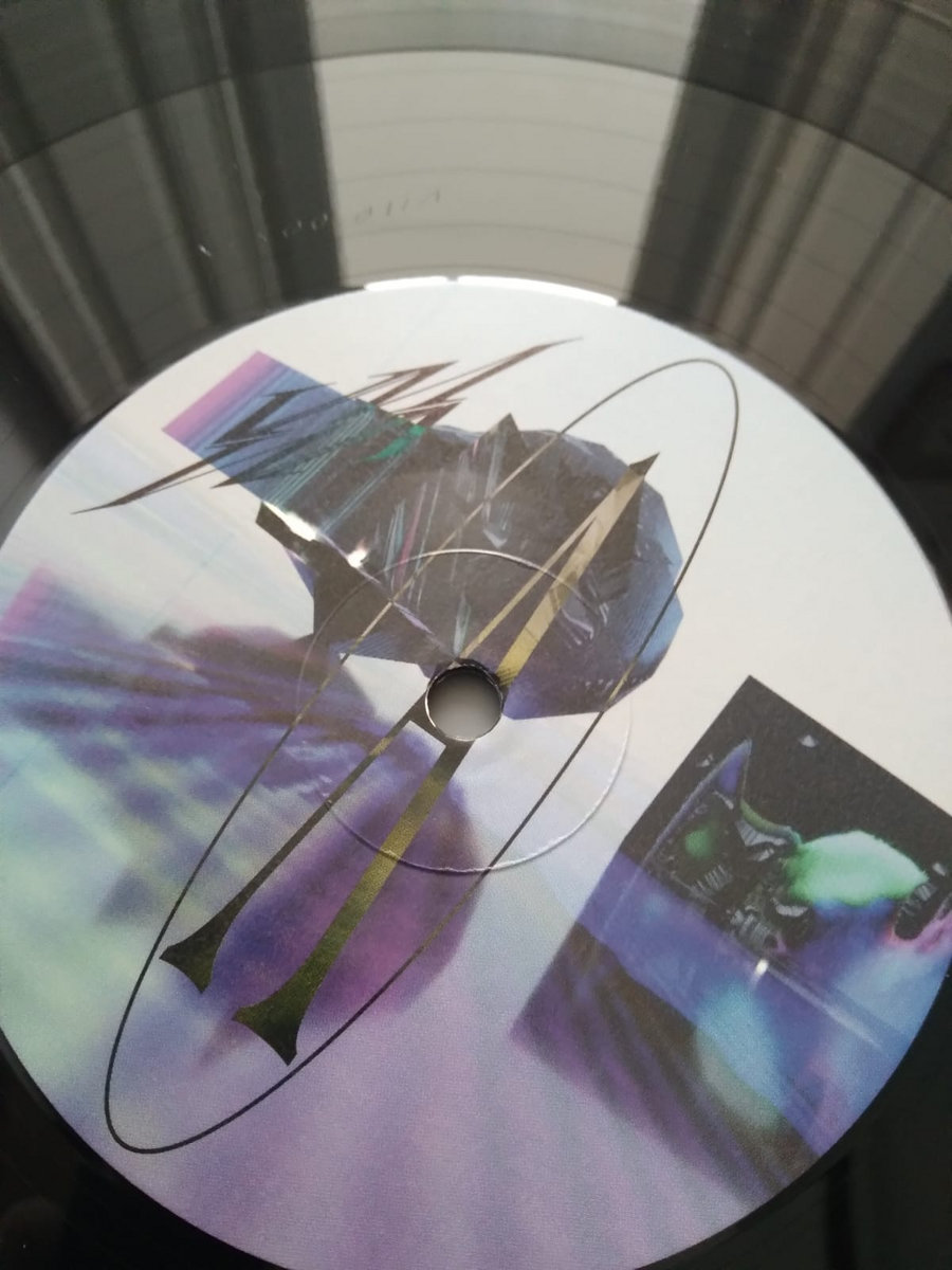 Moss Kissing - Pass Through LP | Moss Kissing | Vilamar Records