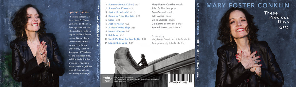 These Precious Days | Mary Foster Conklin