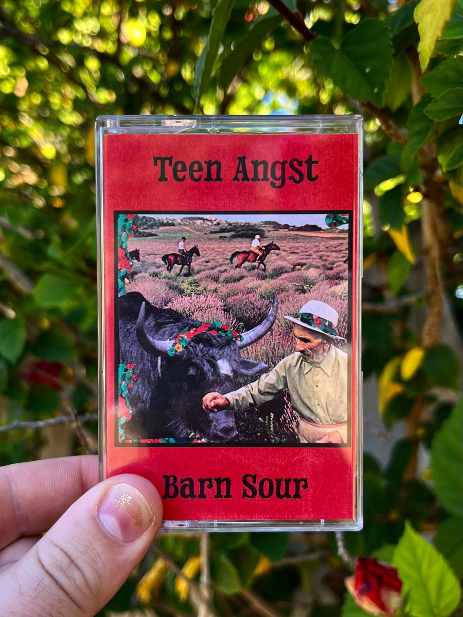 Barn Sour | Teen Angst