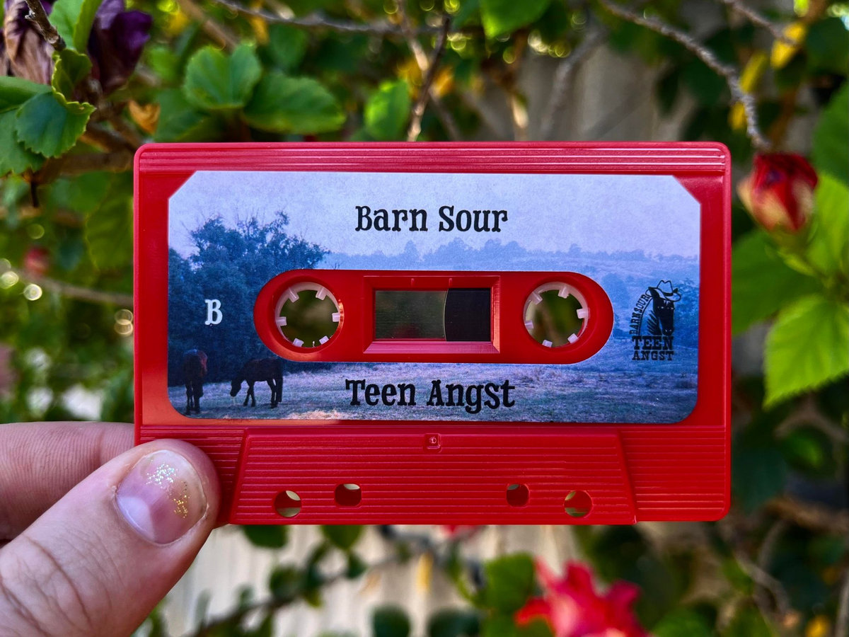 Barn Sour | Teen Angst