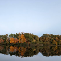 exilevilify's collection | Bandcamp