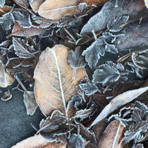 breesee's collection | Bandcamp