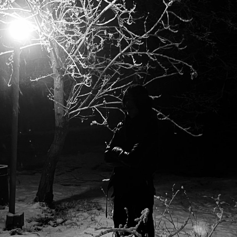 into the realm of nightmares | mara