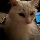 Finite Form | Jack Stauber