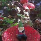 Fairytale of New York | Les Penning & Rob Reed | robert reed