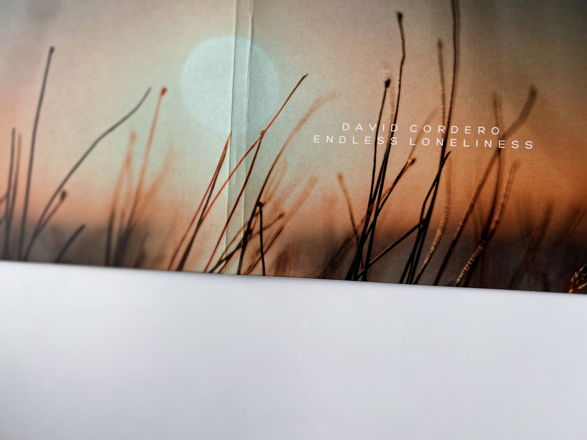 Endless Loneliness | David Cordero | ARCHIVES