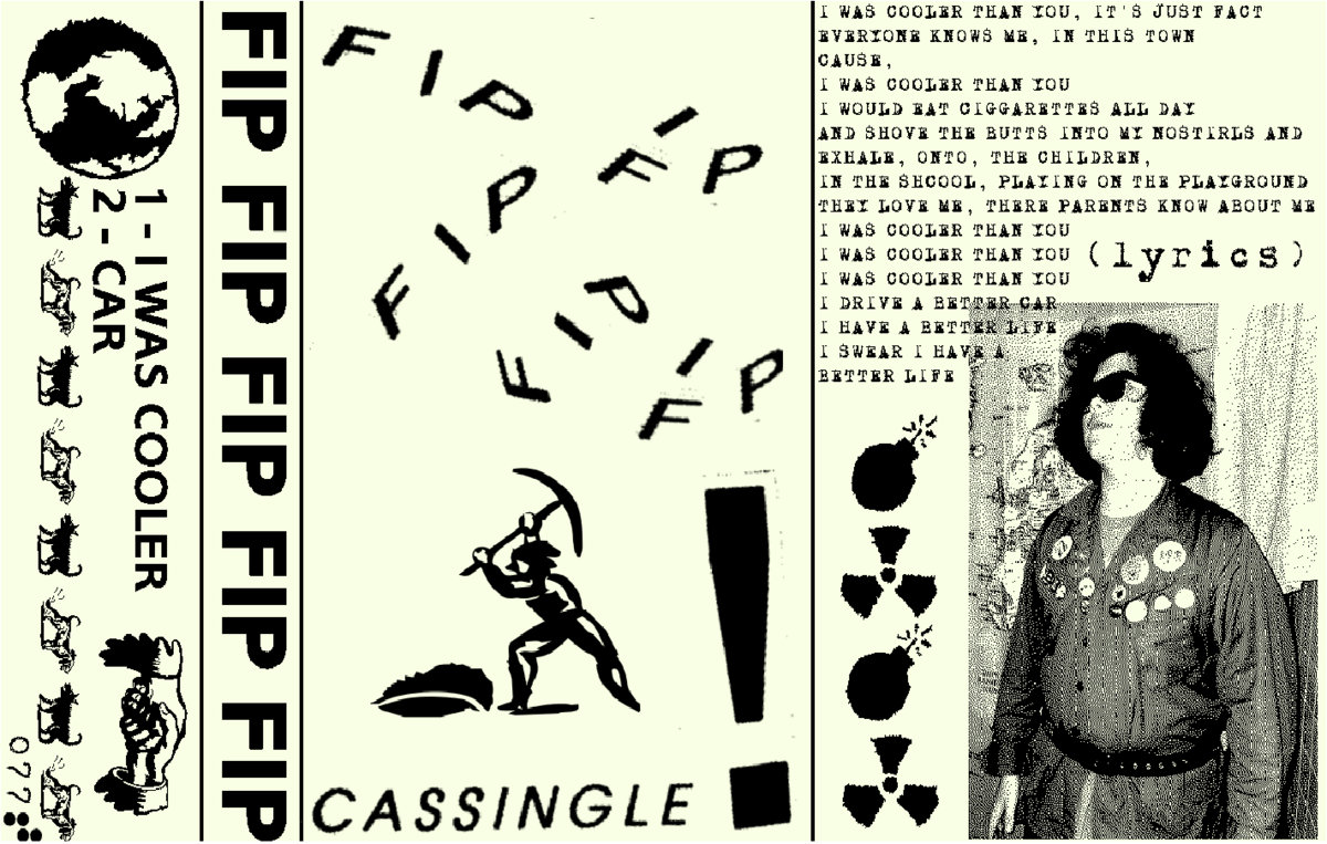 Cassingle | Fip | Discontinuous Innovation Inc.