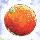 Dim Probs | Gruff Rhys