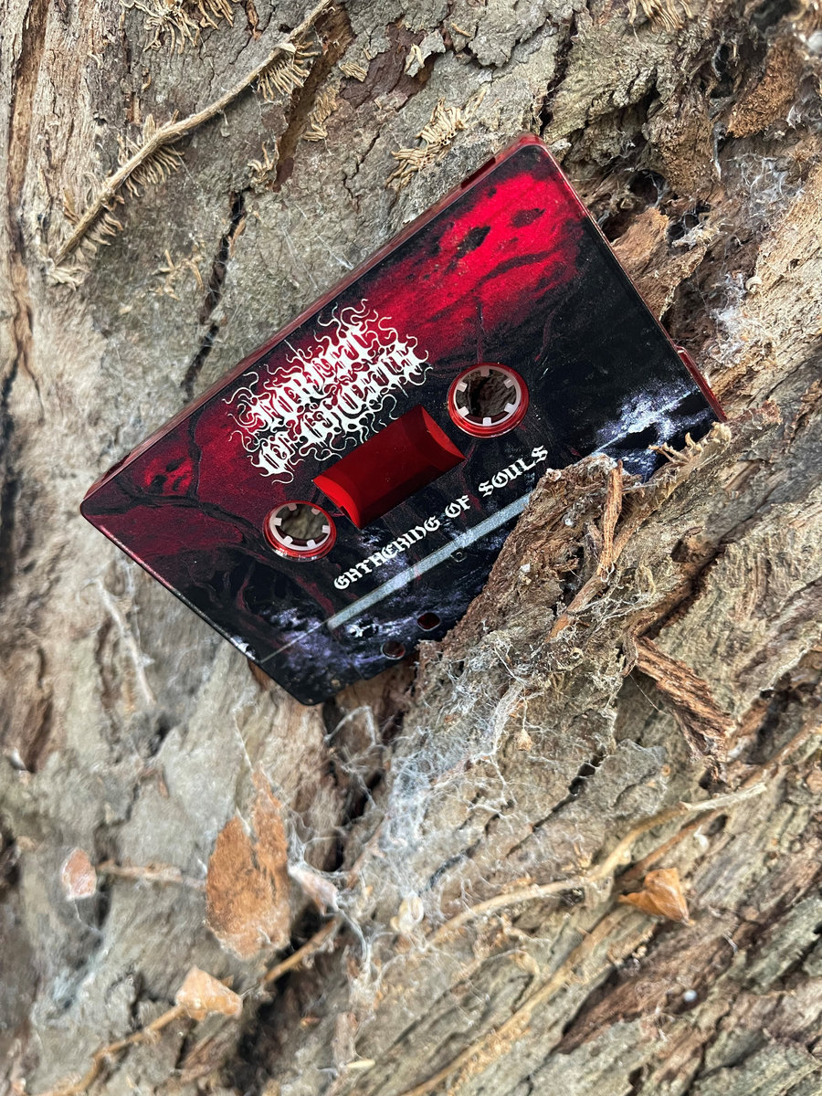GATHERING OF SOULS | Forest Of Ghosts
