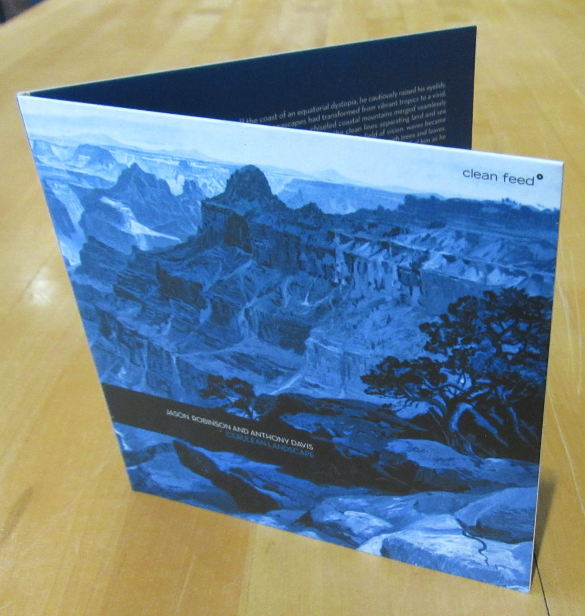 Cerulean Landscape | Jason Robinson and Anthony Davis | Jason Robinson