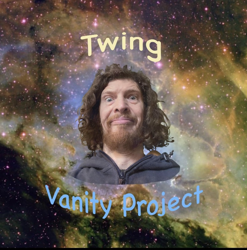 Vanity Project | Twing