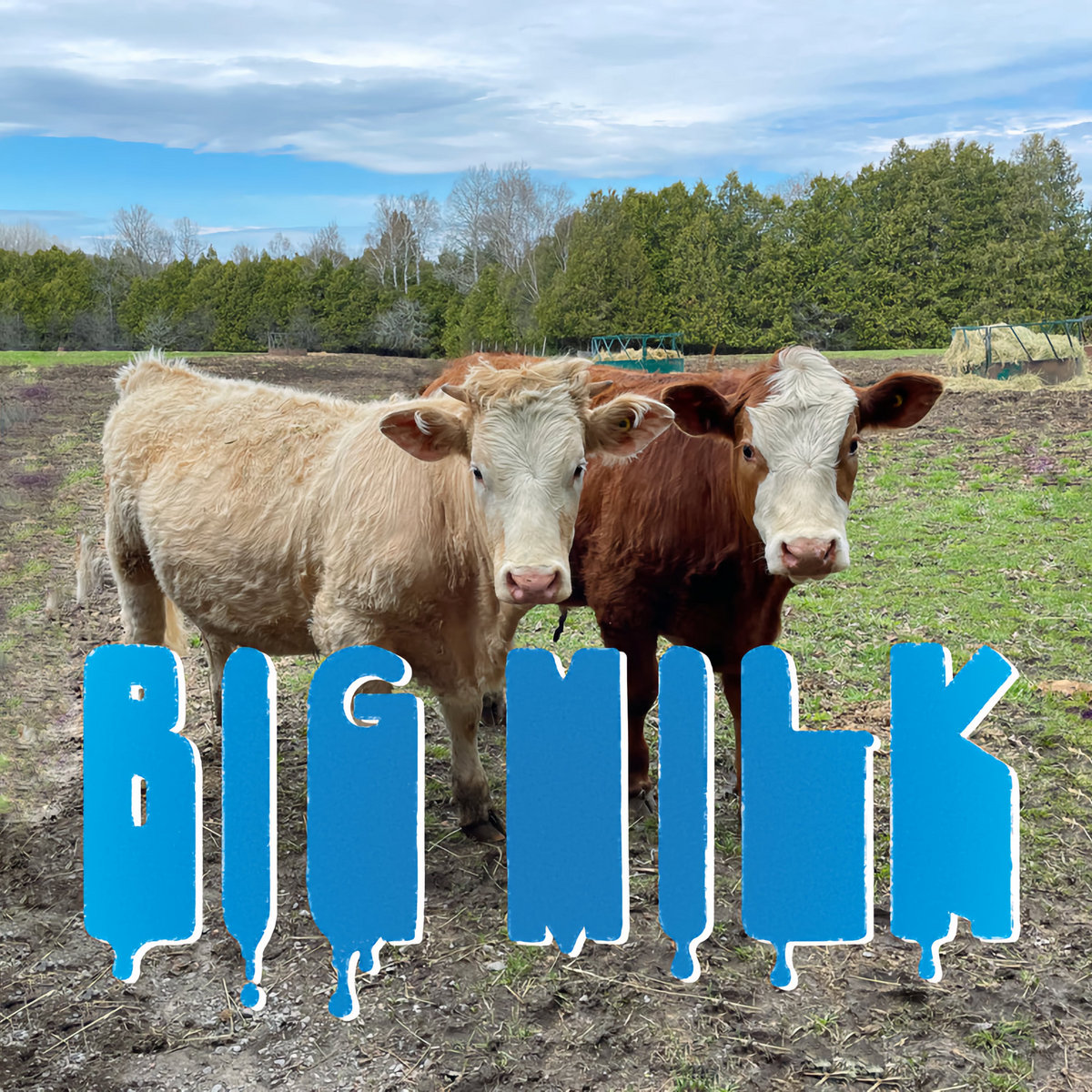 MILK 2 | BIG MILK