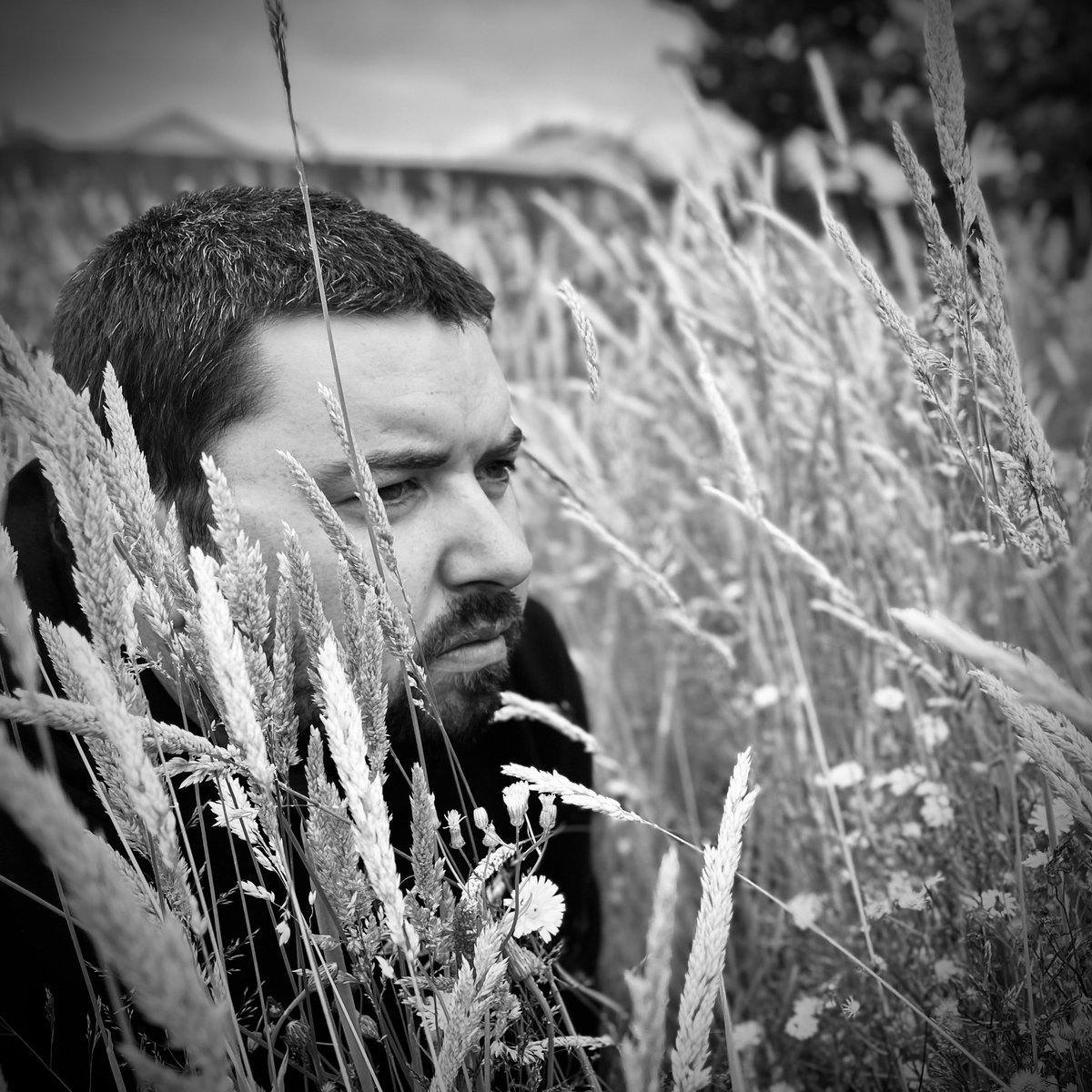 Heptadik | Dylan Robert