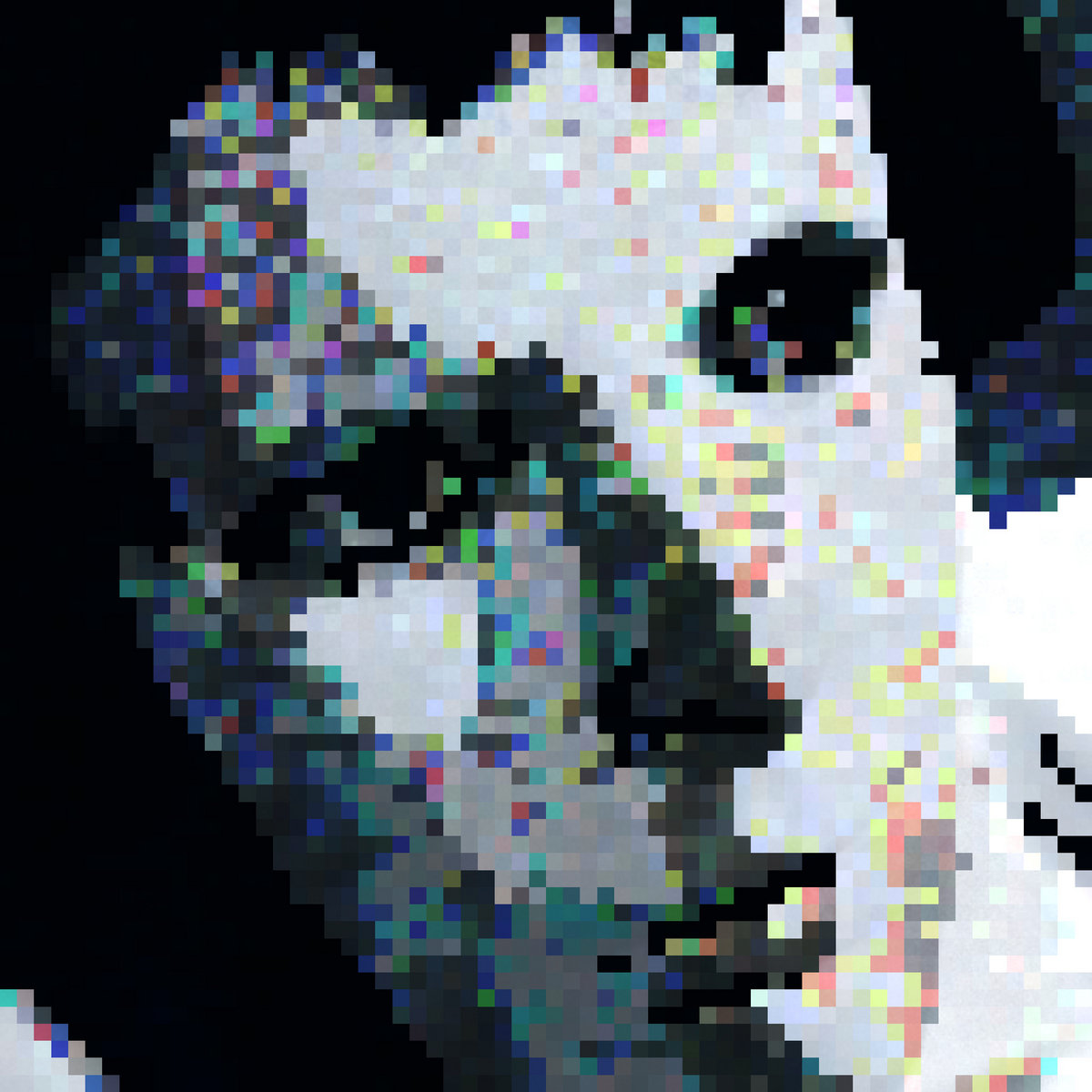 Retrospective: Vol. I | Jane Cadogan