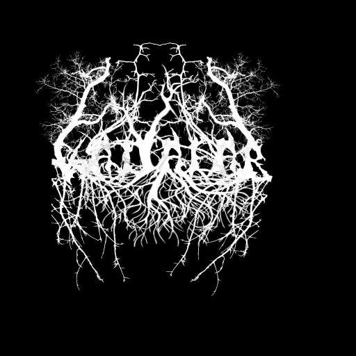 Ravens Upon the Bloodstained Mirror | Valafar