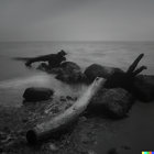 The Walking Dead (Original Television Soundtrack) | Bear McCreary