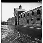 Dim Probs | Gruff Rhys