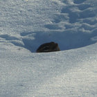 Sport Fishin': The Lure of the Bait, The Luck of the Hook | Shadowy Men ...