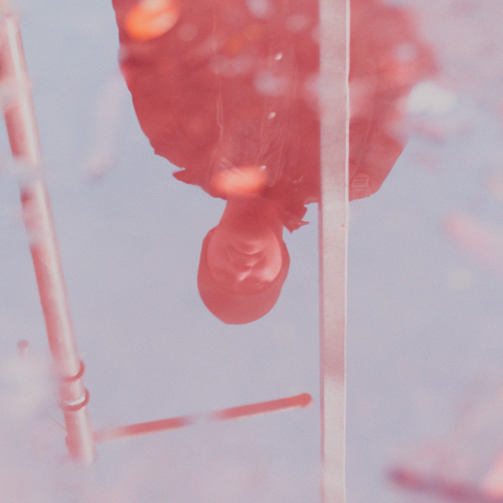 ghost sloth ep 2022 | Ghost Sloth