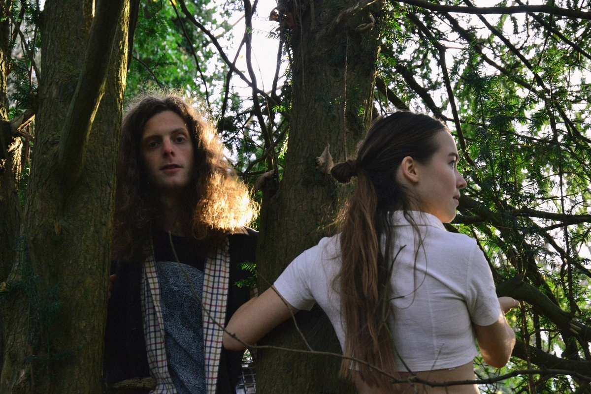 small plant | Small Plant