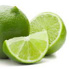 Together Through Time | TWRP