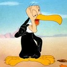 Roomsound (Deluxe Reissue) | Califone | califone / tim rutili / red red ...