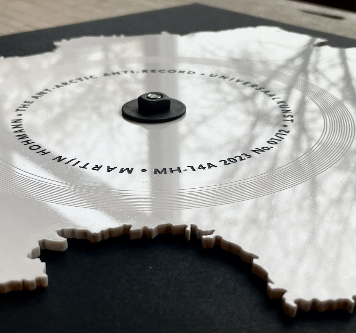 The Ant-Arctic Anti-Record | Martijn Hohmann | Universaalkunst