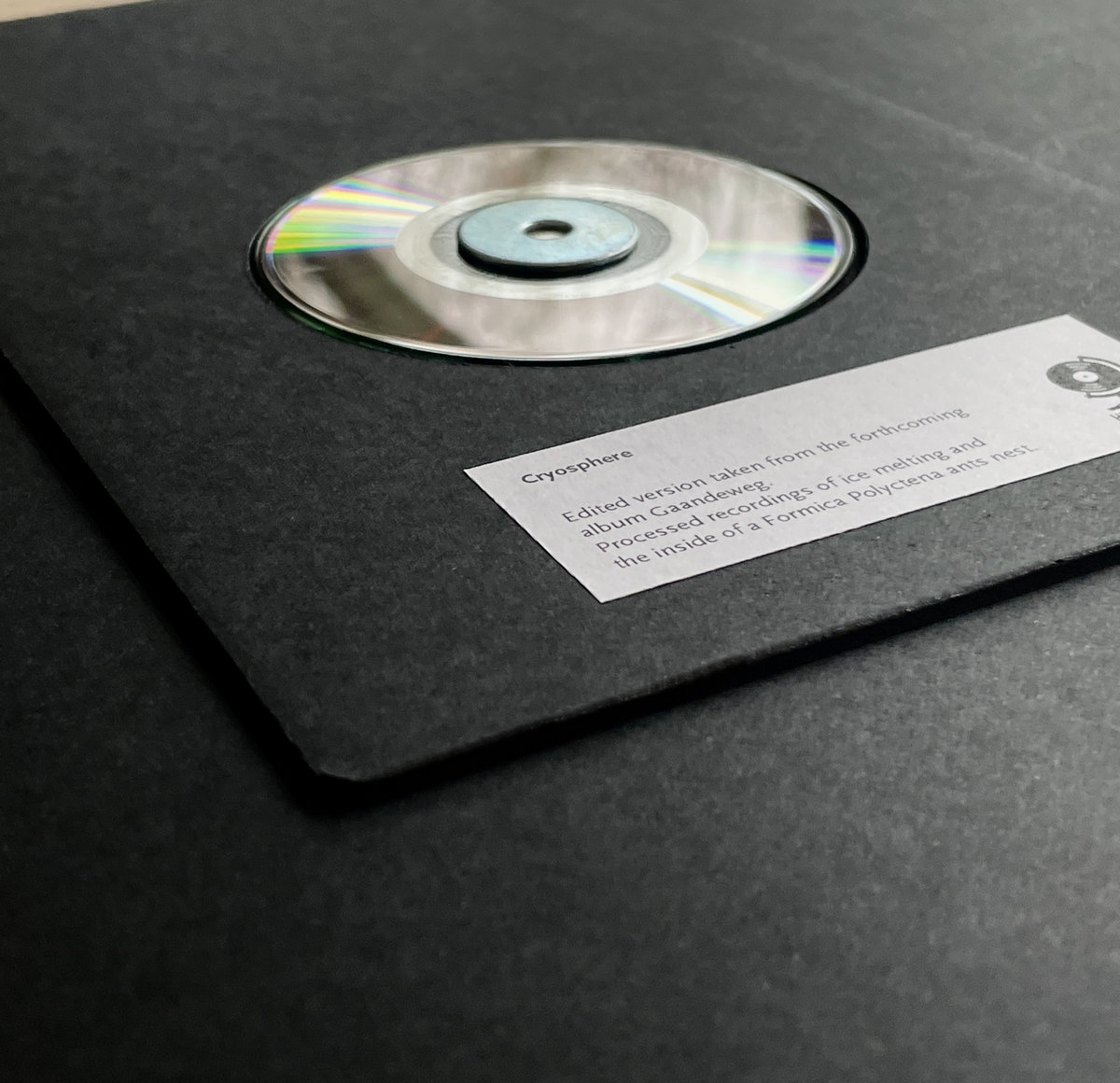 The Ant-Arctic Anti-Record | Martijn Hohmann | Universaalkunst