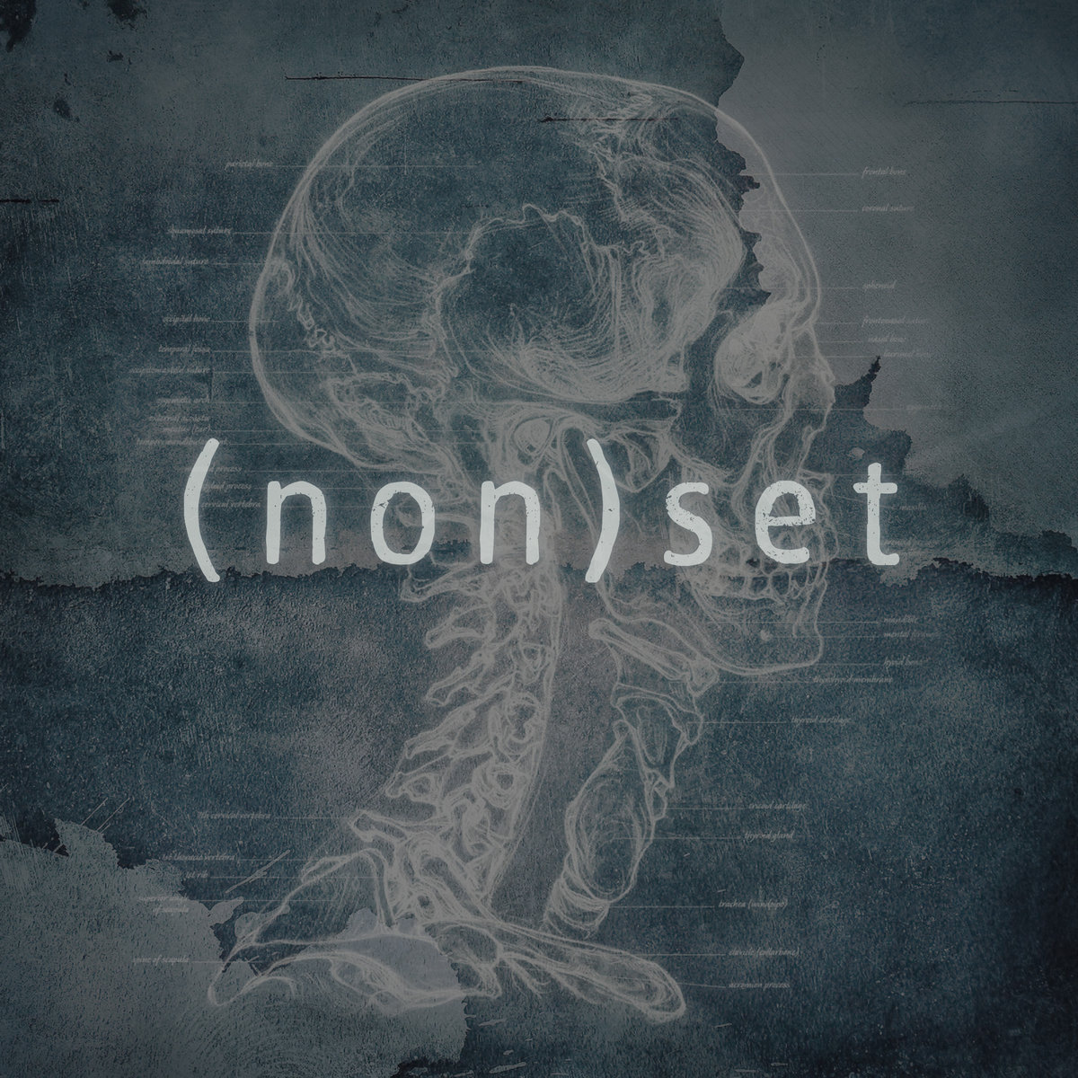 reflective surfaces | (non)set