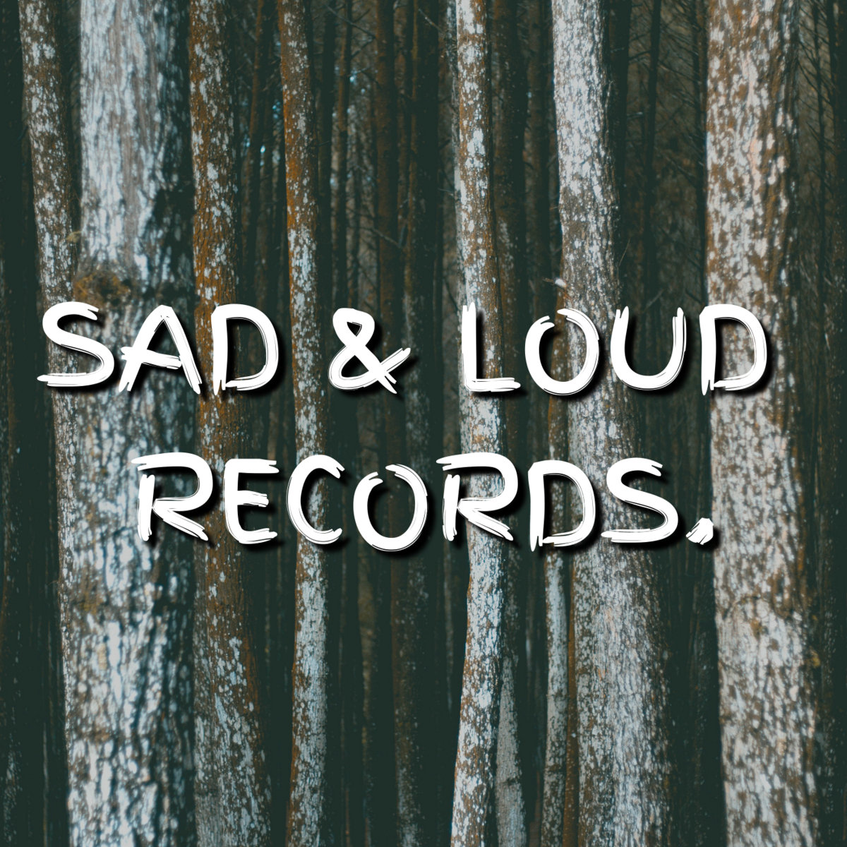 Vessel | Ventures. | Sad & Loud Records