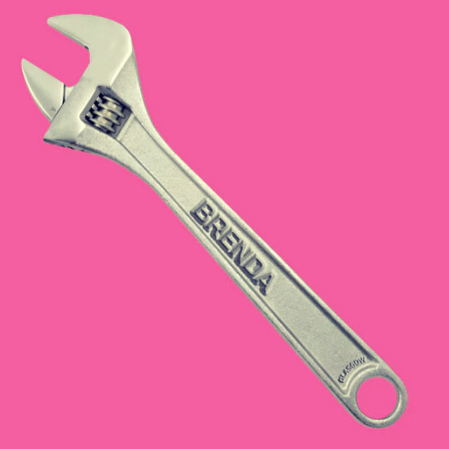 BRENDA | BRENDA