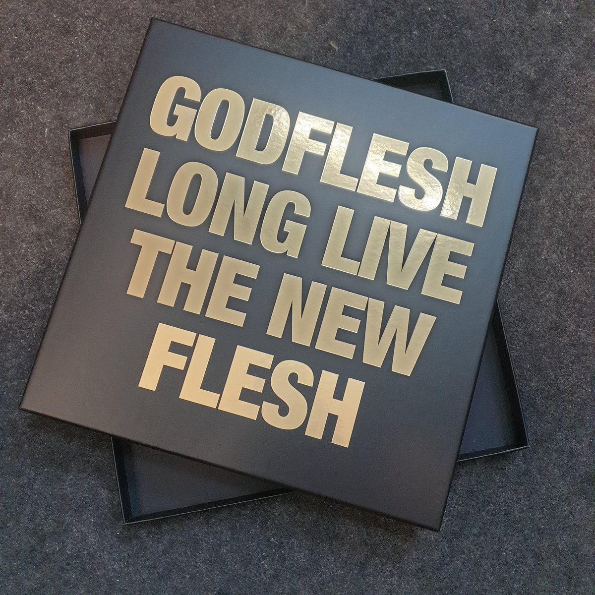 New Flesh In Dub Vol 1 Godflesh