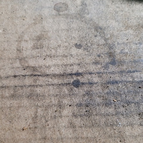 the wilted spring project (low quality demo) | the wilted spring | a n o n y m o u s k i d 1 9 8 7