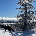 Sounds Like... | Florry