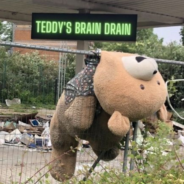 Teddy's Brain Drain | Teddy's Brain Drain