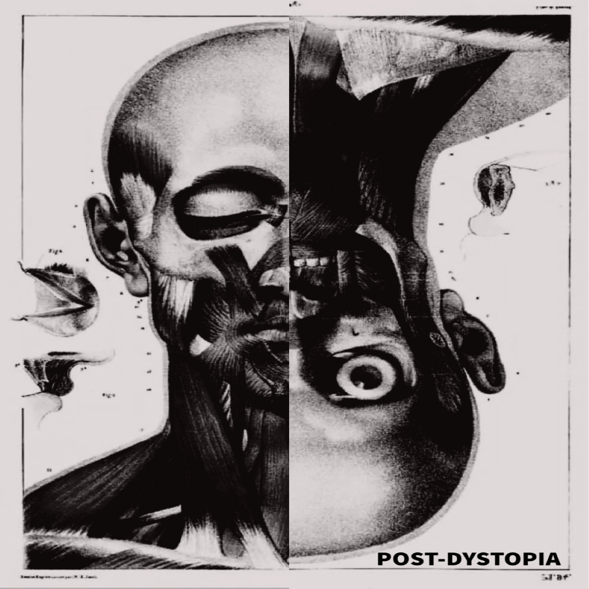 Post-Dystopia | Devoid
