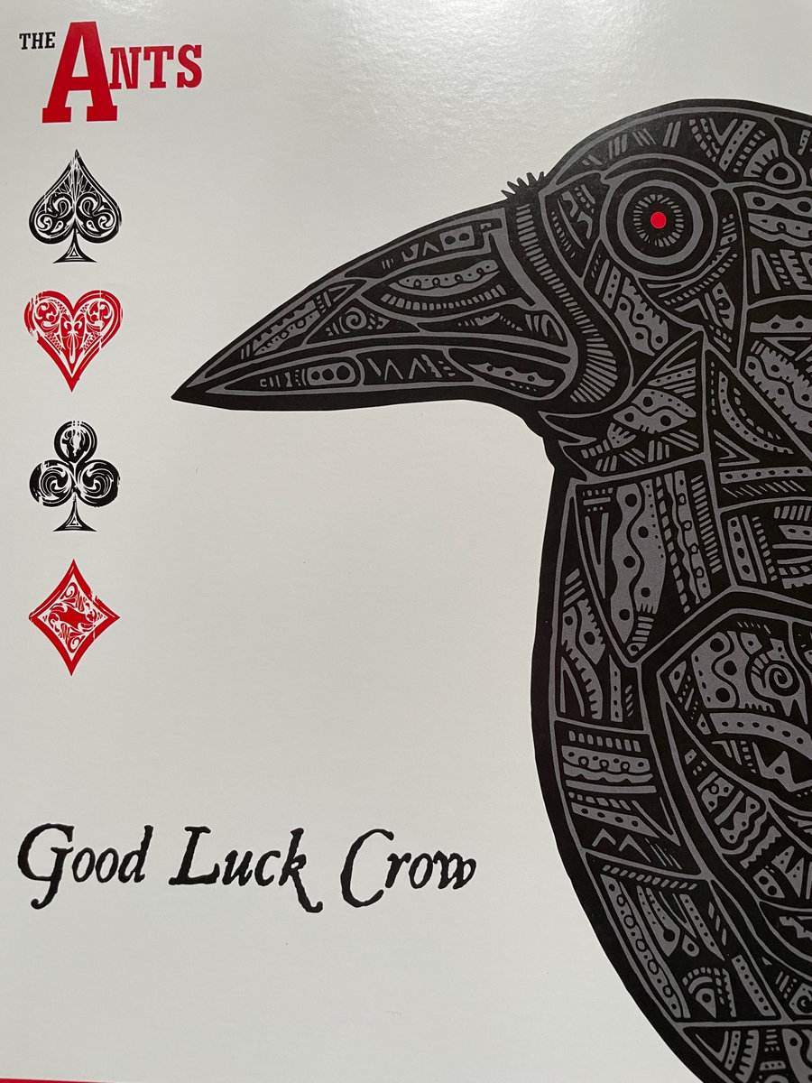 Good Luck Crow | The Ants