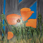 Lamaze | Geneva Jacuzzi