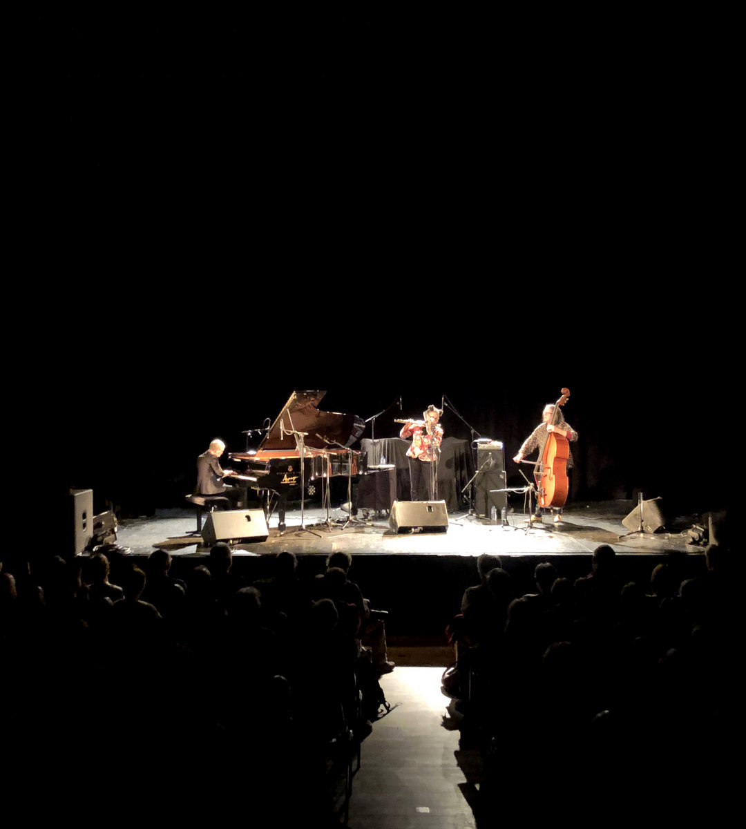 MAP OF LIBERATION | TIGER TRIO (Myra Melford, Joëlle Léandre, Nicole ...